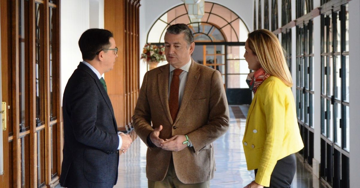 El Parlamento Andaluz insta al Gobierno a hacer el acceso directo al ...