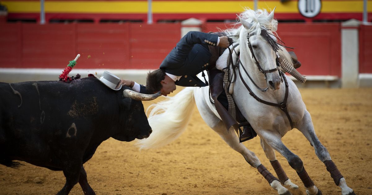 Sebastián Fernández, como en casa