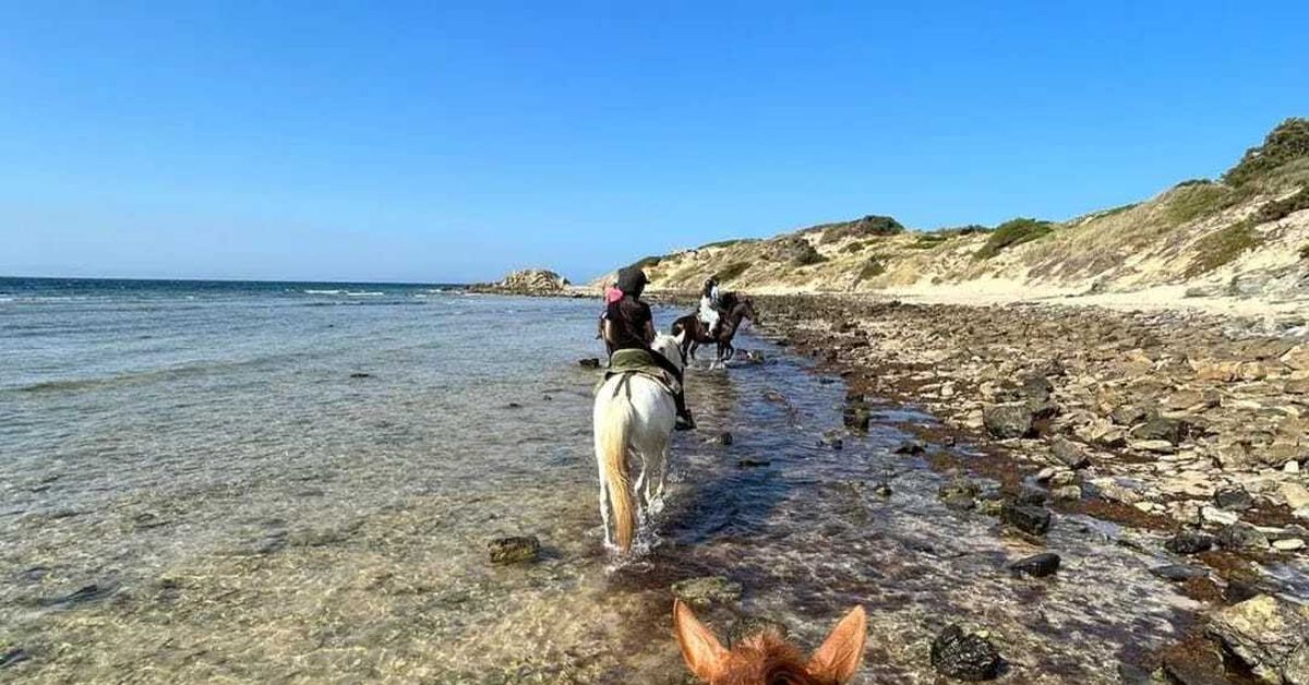 Un paseo a caballo para comenzar el año en las playas de Tarifa