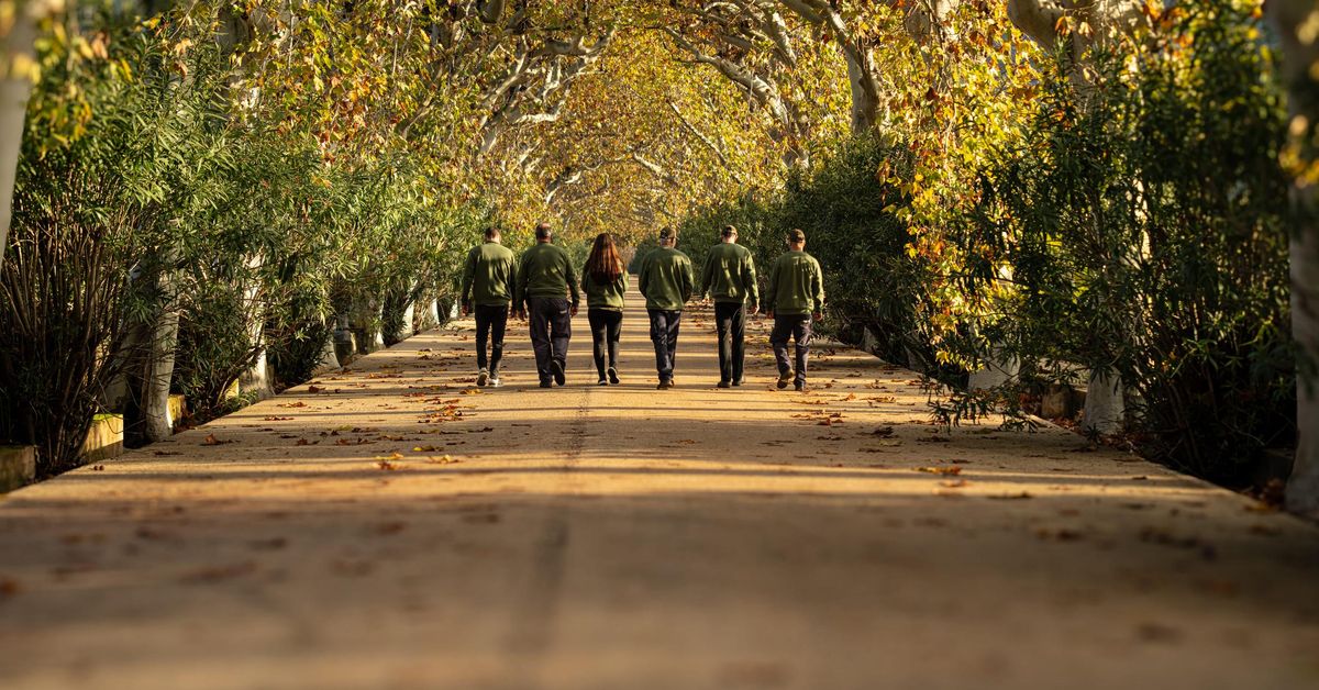 Bollo Natural Fruit promueve una nueva forma de hacer agricultura y de ...