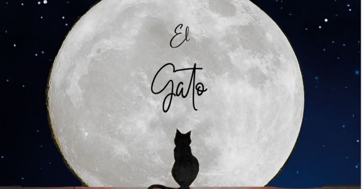 Navajita Plateá estrena 'El Gato', su nuevo single grabado en Jerez