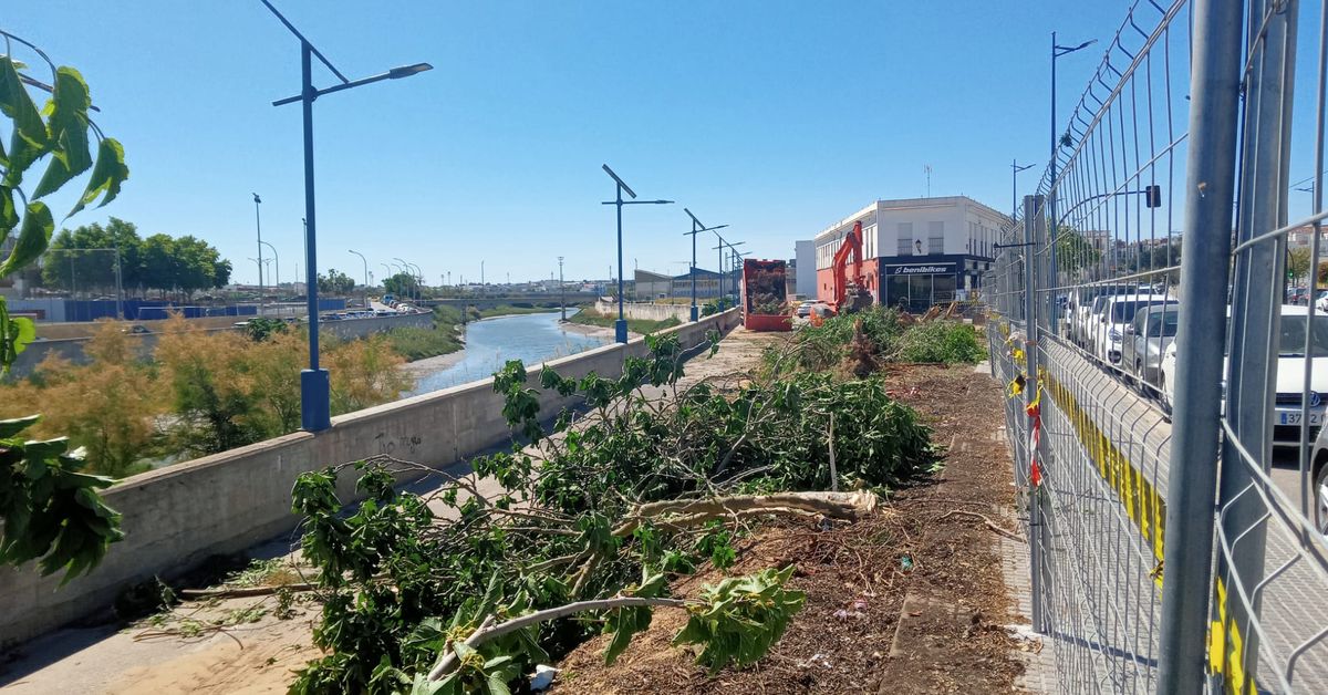 Chiclana: Toniza denuncia la tala de una arboleda junto al rio Iro