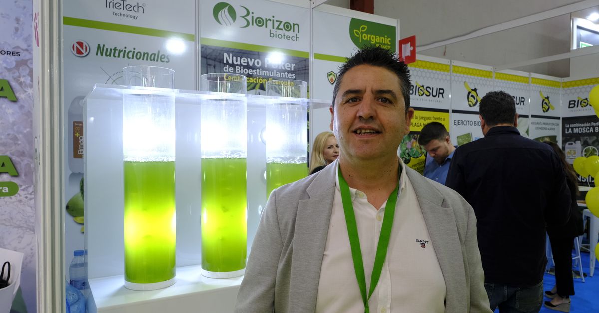 Cuatro bioestimulantes con Certificación Europea, el gran atractivo del ...