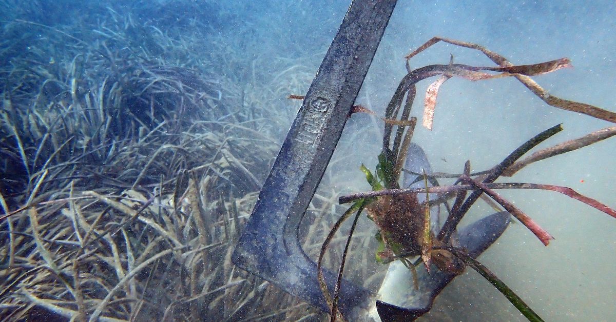 'Posidonia sin anclas' desde Roquetas: ponen en el punto de mira a los ...
