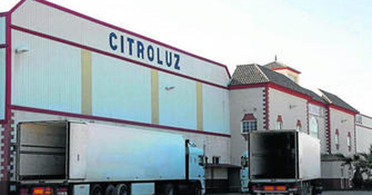 Martinavarro producirá al año 130.000 toneladas de cítricos