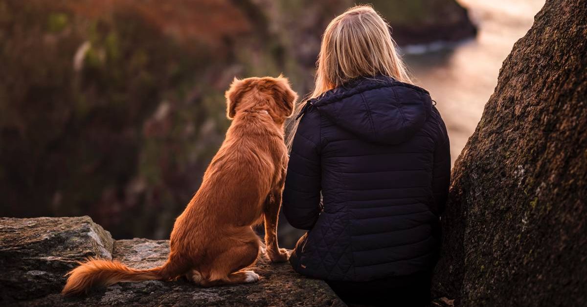 Un nuevo estudio reafirma la lealtad de los perros con los humanos