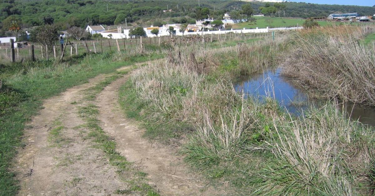 Conoce los caminos más bonitos y accesibles de la provincia: los ...