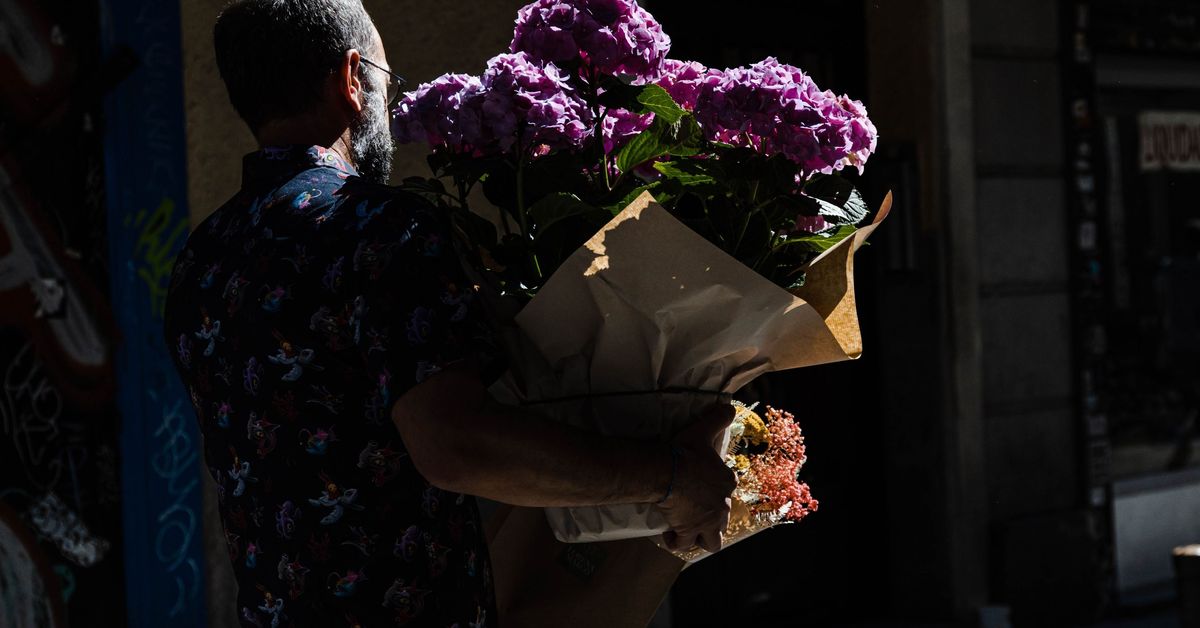 San Valentín 2024: la flor perfecta para cada tipo de cita ¿Cuál es la ...