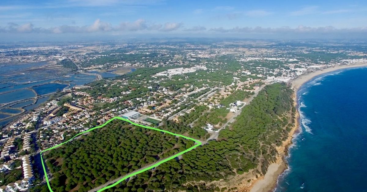 Toniza opta por mantener el uso hotelero del Pinar de Costa Sancti ...