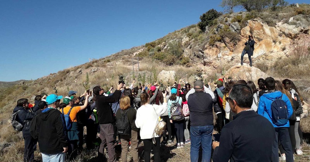 Vicasol colabora para reforestar la sierra de Gádor