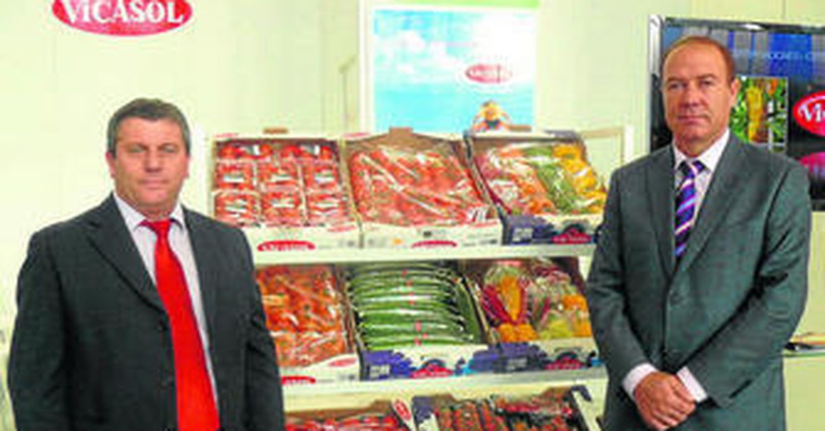 Vicasol espera llegar a los 120 millones de kilos al final de la actual ...