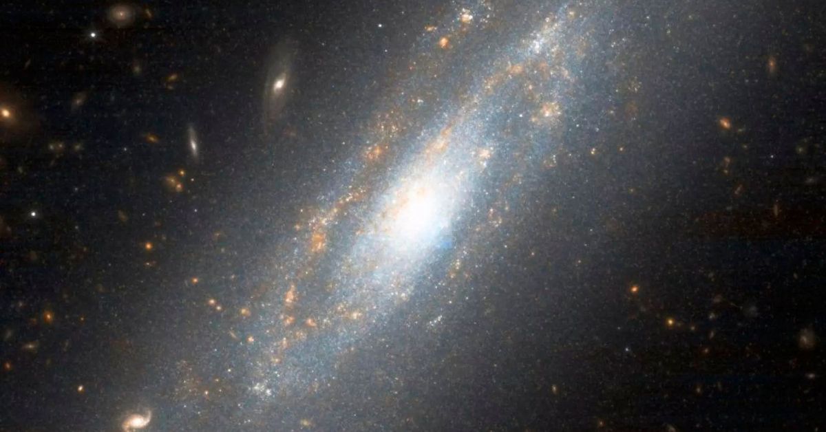 Vixpoly leak she looks naive but do not let that deceive ya.