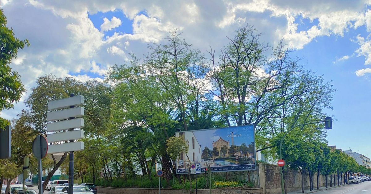 Abren expediente sancionador por la tala de árboles sin autorización en ...