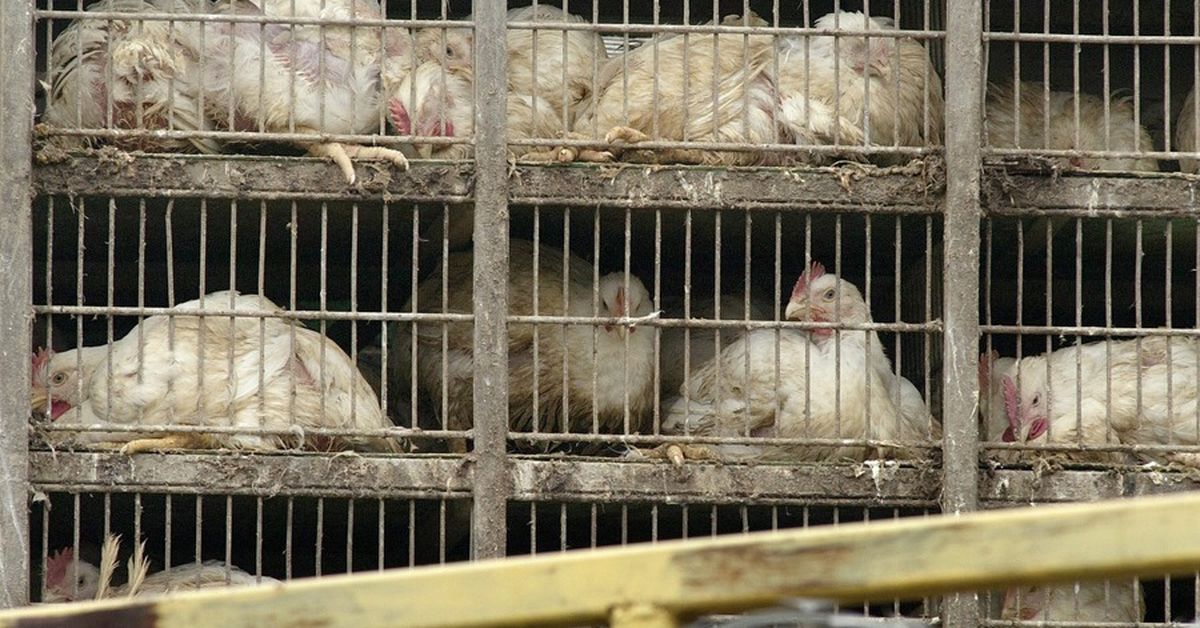 Anouchka escort trans despite being late, it was still a